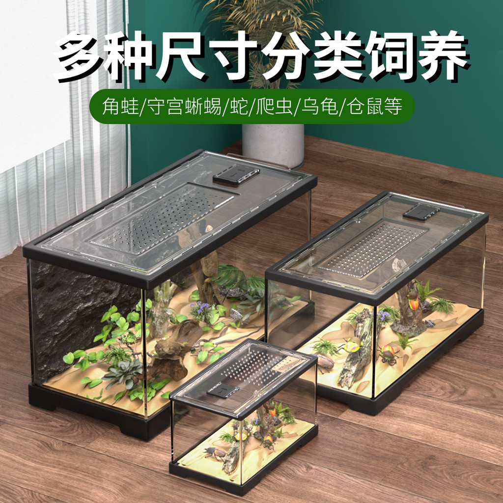 Shougong Feeding Box Ciliary Horn Mane Lion Lizard Ecological Climbing ...