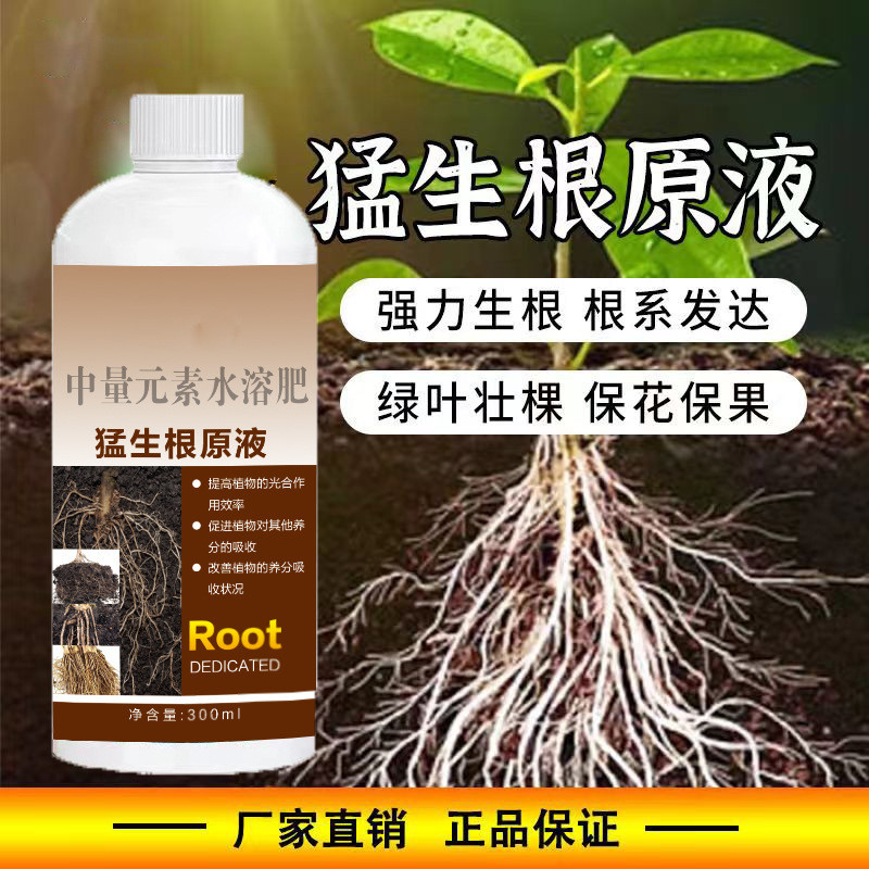 Mengsheng Root Original Universal Type Health Root Nutrition Root ...