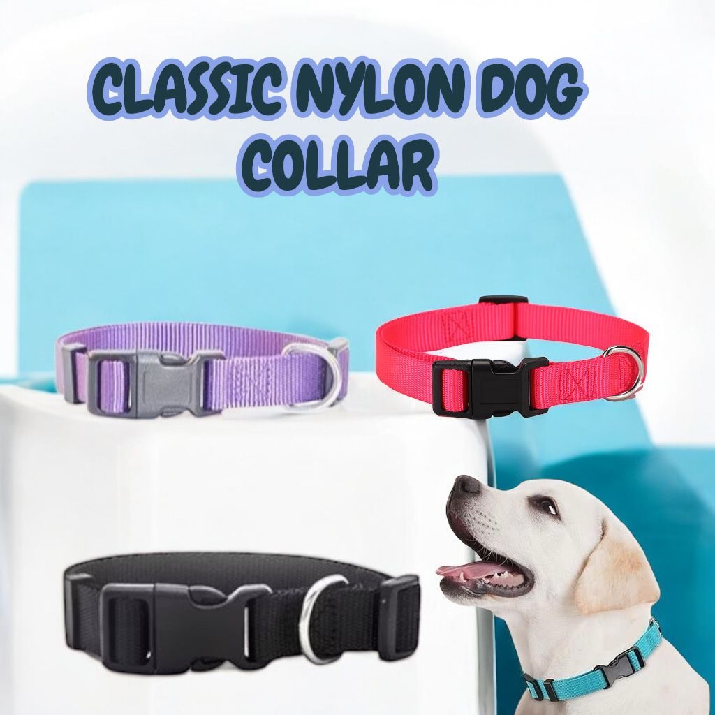 Classic Adjustable Nylon Dog Collar with Heavy Duty Clip Buckle Deluxe ...
