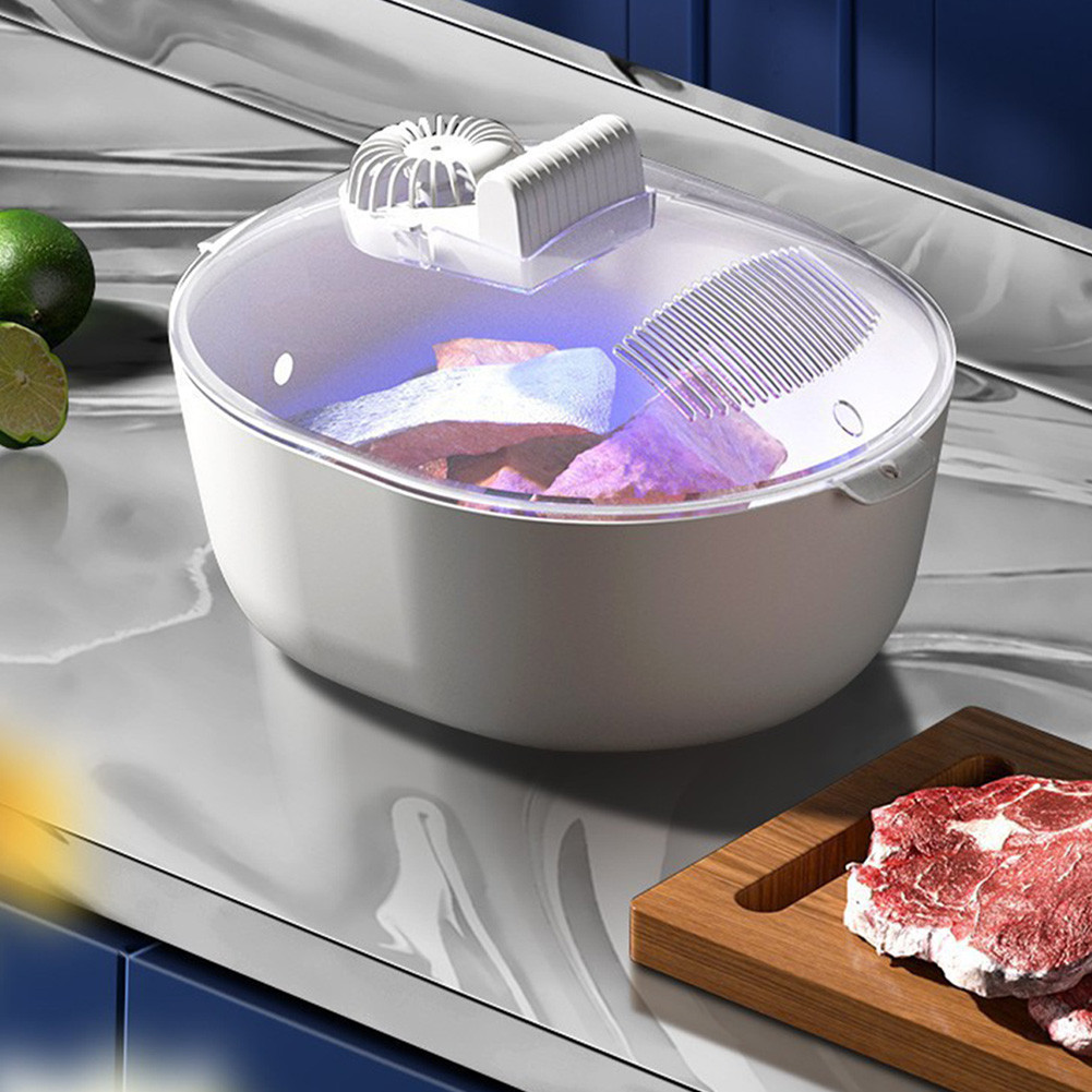 AIGONI™ Smart Quick Thaw Machine Keeps Food Nutritious Frozen Meat ...