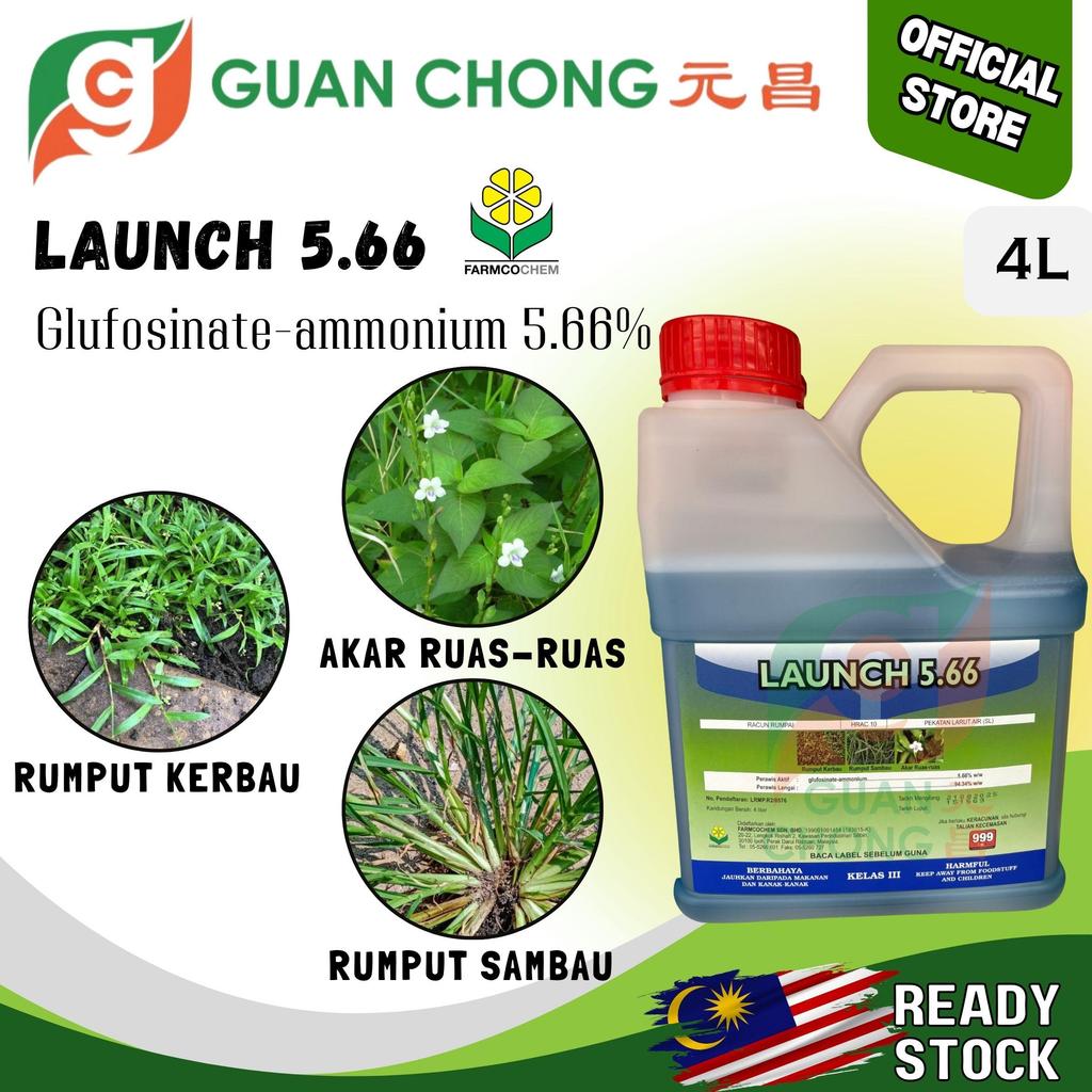 4L Launch 5.66 Racun Rumput Akar Ruas Rumput Sambau Rumput Kerbau ...