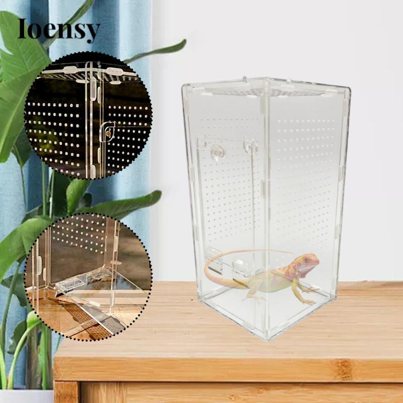[Ioensy] Acrylic Terrarium for Praying Mantises, Cage Container ...