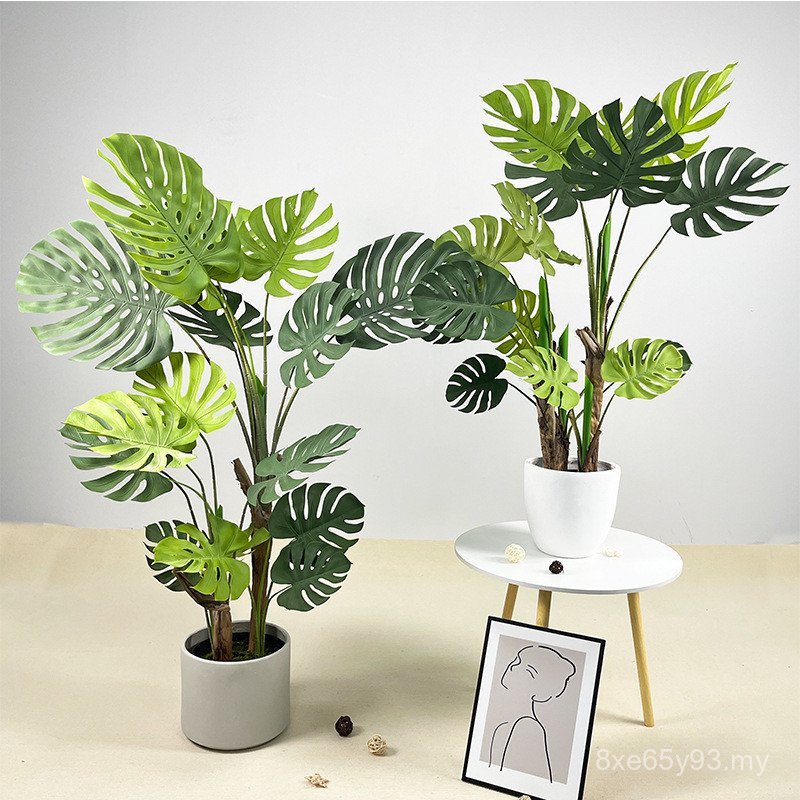Bonsai Buluh Monstera Tiruan Dalaman Tanaman Hijau Tiruan Tanaman Pasu ...