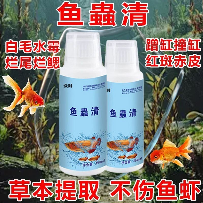 Fish Insects Clear Aquarium Ornamental Fish Dedicated Ornamental Fish ...