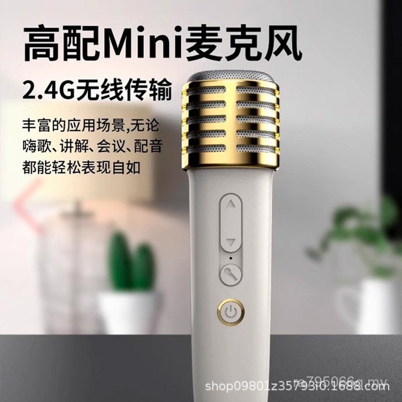 Microphone Home Audio Dual Integrated Radio High Power Portable K-Song ...