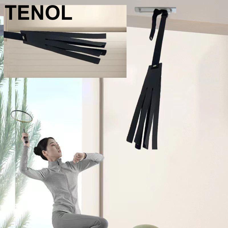TENOL Indoor Badminton Trainer, Wall-Mounted Badminton Training ...