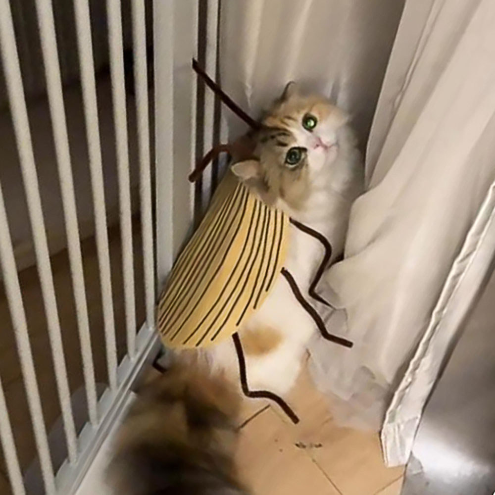 Pet Clothes Cockroach Cosplay DIY Cat Costumes Cute Cartoon Material ...
