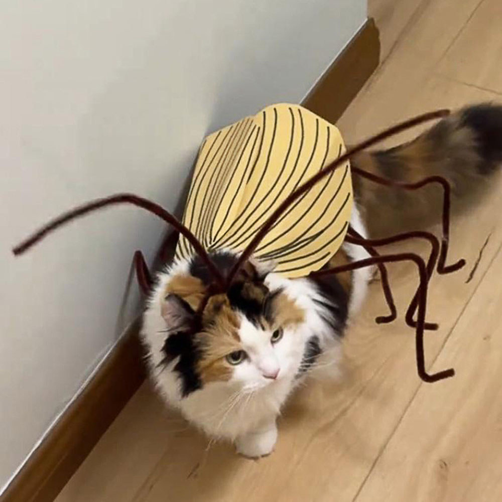 Pet Clothes Cockroach Cosplay DIY Cat Costumes Cute Cartoon Material ...