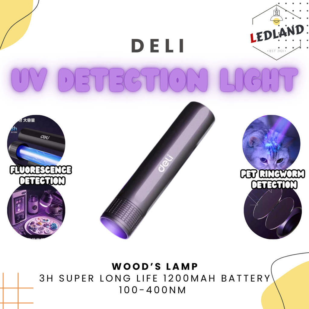 DELI UV torch ultraviolet detection light flashlight cat fluorescence ...
