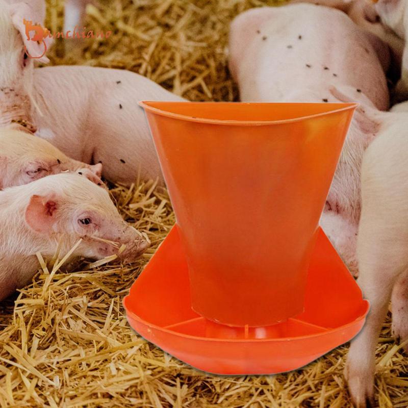 [Gamchiano] Cattle Feeder Piglet Feeding Trough Pig Feeding Trough Farm ...