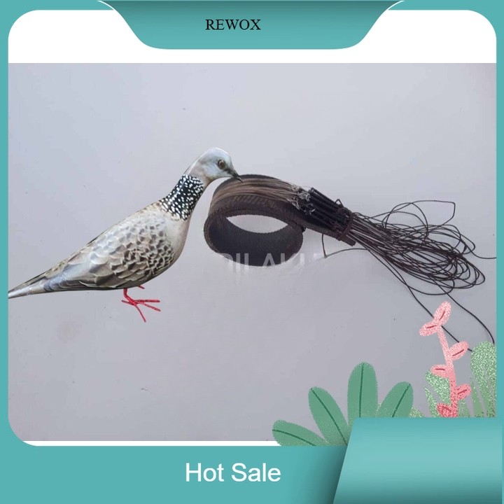 COD! COMPLETE PACKAGE OF JONTROT DOLL STATUE TOY BIRD BOUND + JELETE 21 ...
