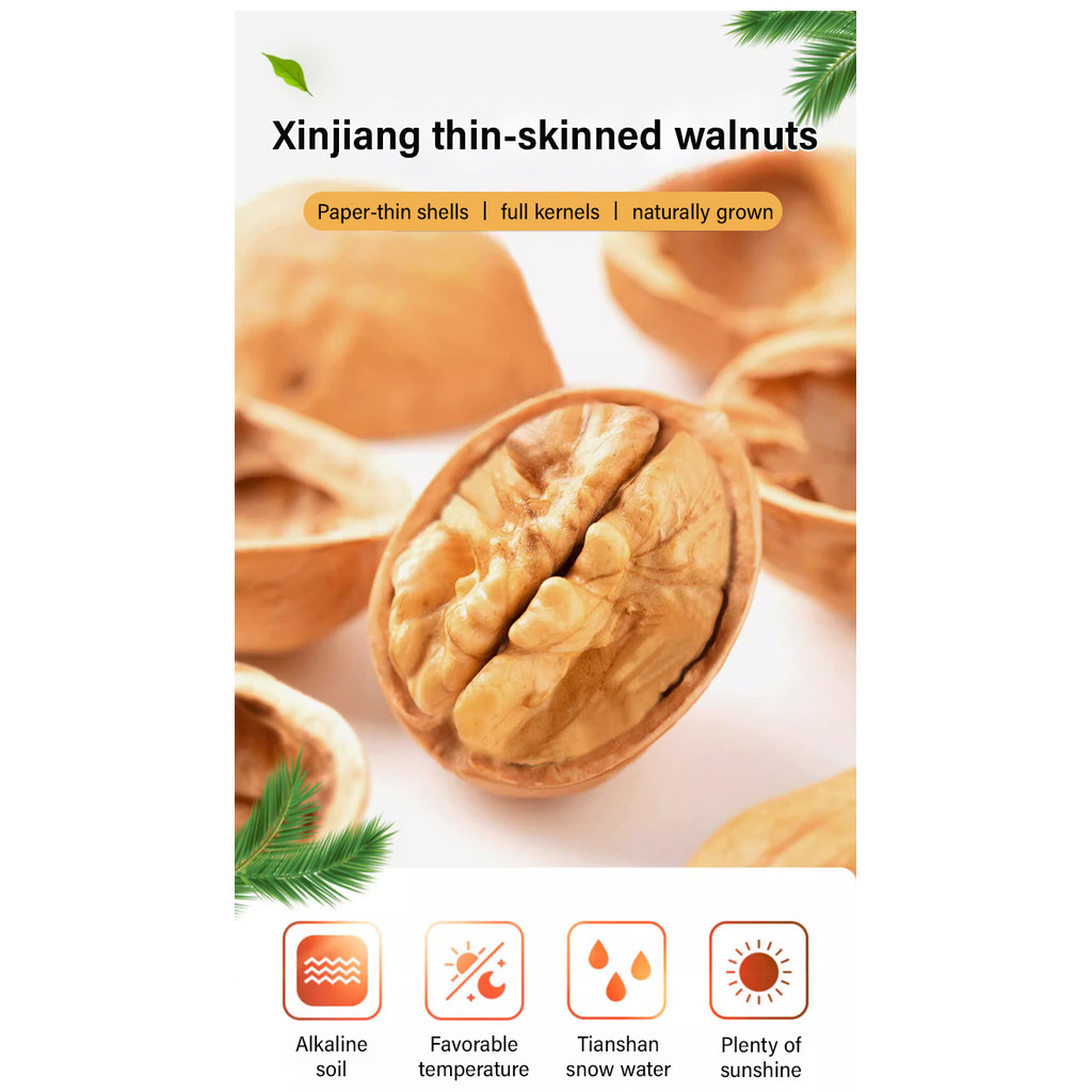 Paper Skin Walnuts Bulk Hand Plucked Walnuts Premium Creamy Paper Skin ...