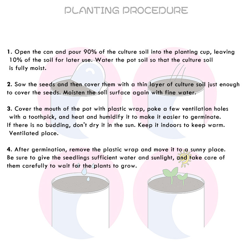 DIY Mini Potted Canned Pot Plant Kids Children's Planting Lucky Plant ...