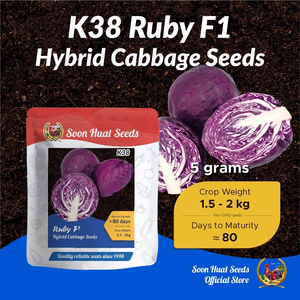 [5g] K38 Benih Sayur Kubis Bulat Merah Soon Huat Seeds | Shopee Malaysia