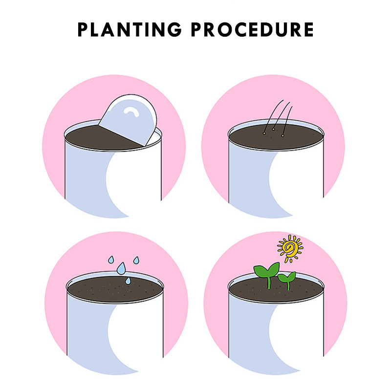 DIY Mini Potted Canned Pot Plant Kids Children's Planting Lucky Plant ...