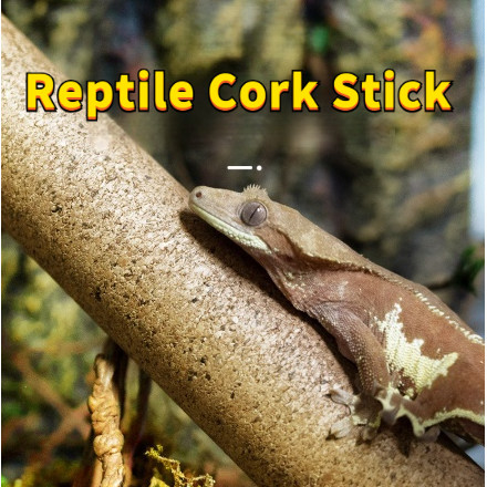 Climbing Stick for Reptiles Enclosure Climbing Structure Anti-Slip for ...