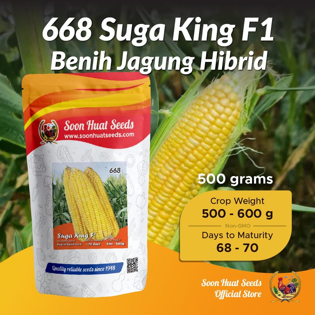 [500g] 668 Benih Jagung Manis Suga King Soon Huat Seeds | Shopee Malaysia