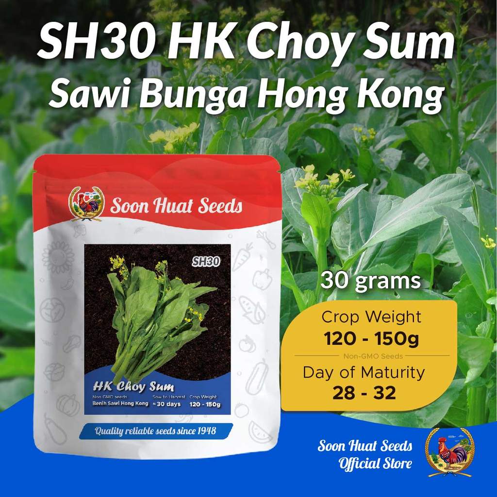 [30g] SH30 Benih Sayur Sawi Bunga Hong Kong Soon Huat Seeds | Shopee ...