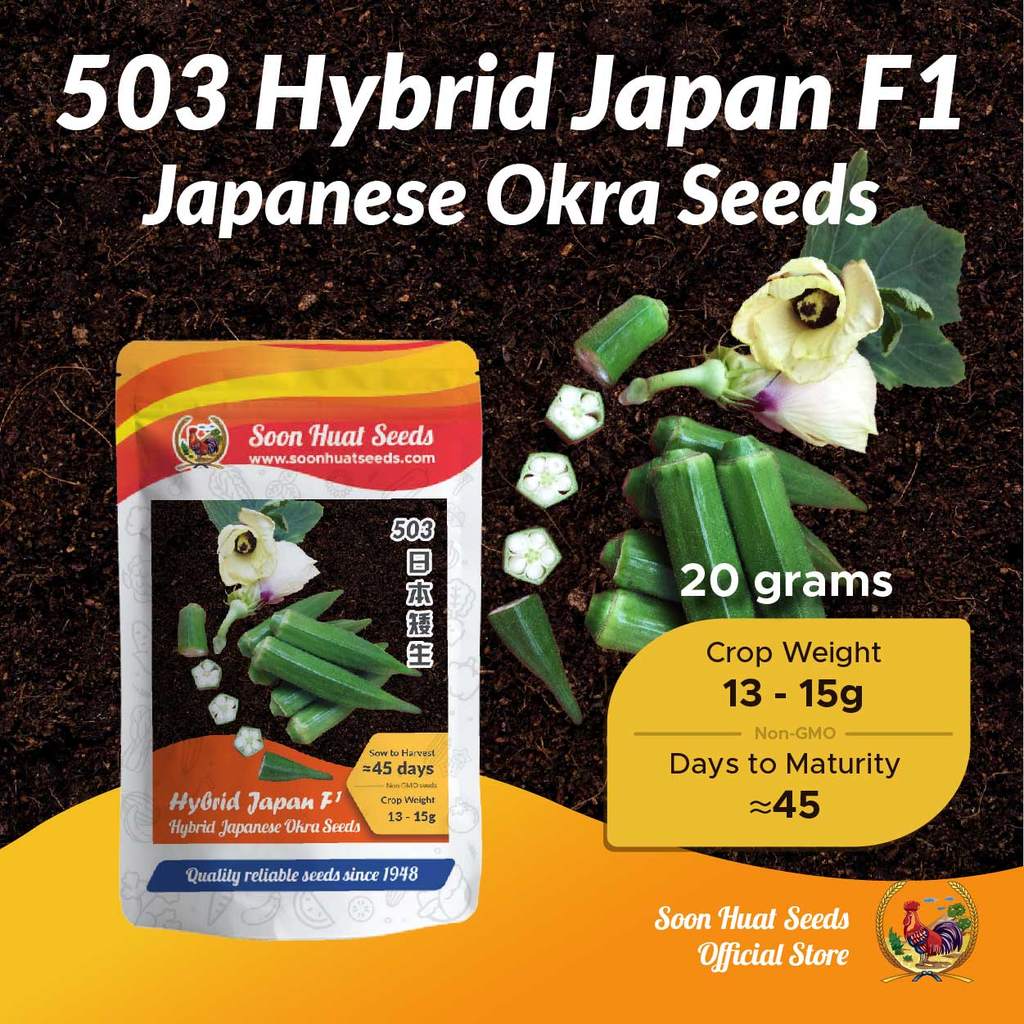 [20g] 503 Benih Bendi Jepun Hybrid Soon Huat Seeds | Shopee Malaysia