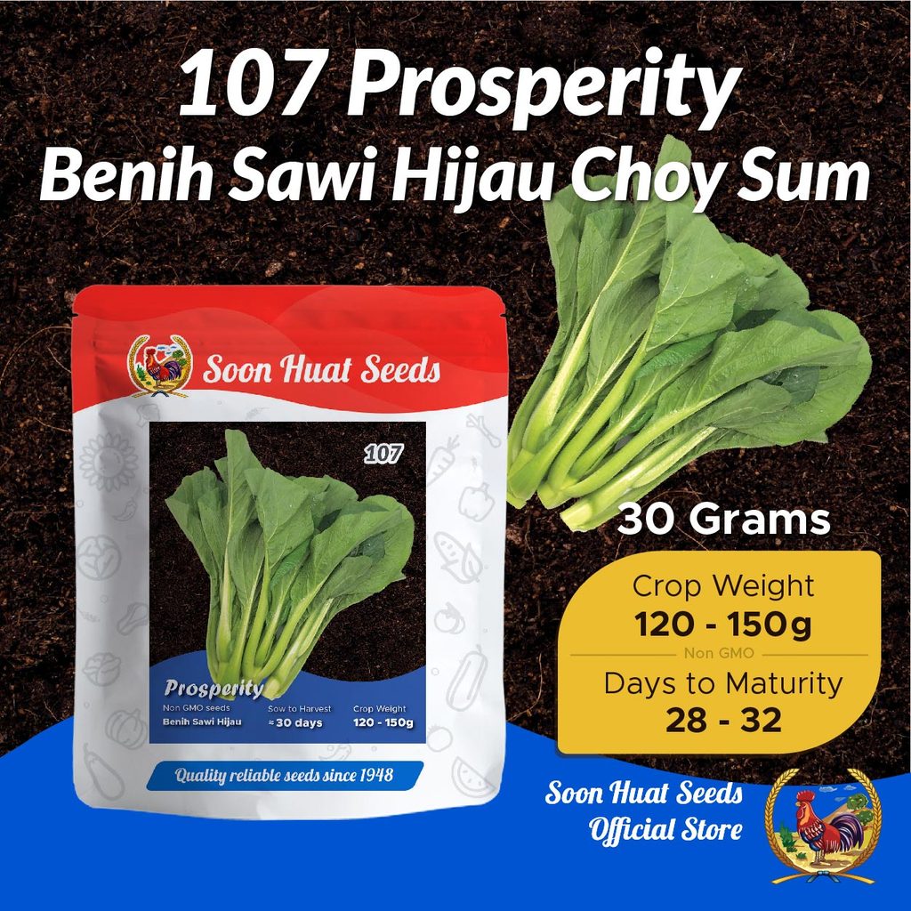 [30g] 107 Benih Sayur Sawi Bunga Prosperity Soon Huat Seeds | Shopee ...