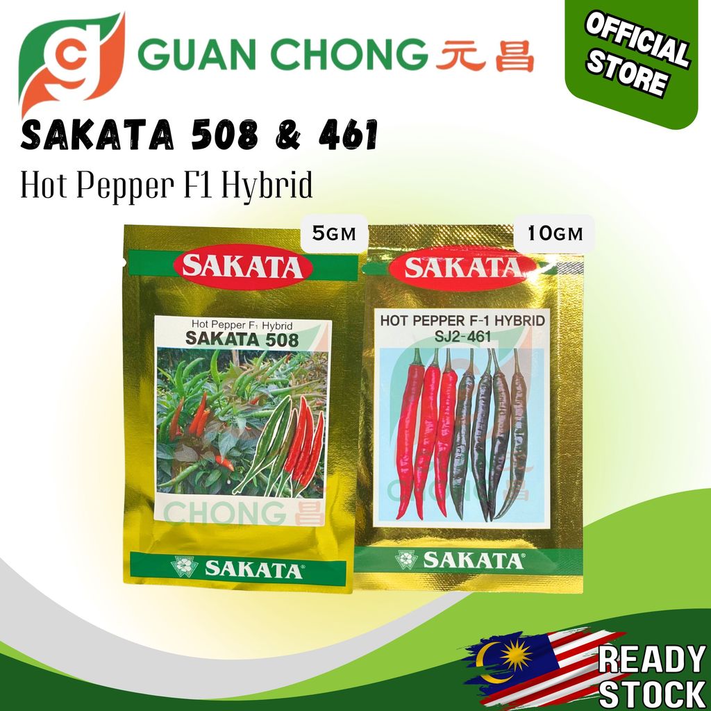 Sakata 508 [5gm] Sakata 461 [10gm] Benih Cili Kulai Fertigasi Benih ...