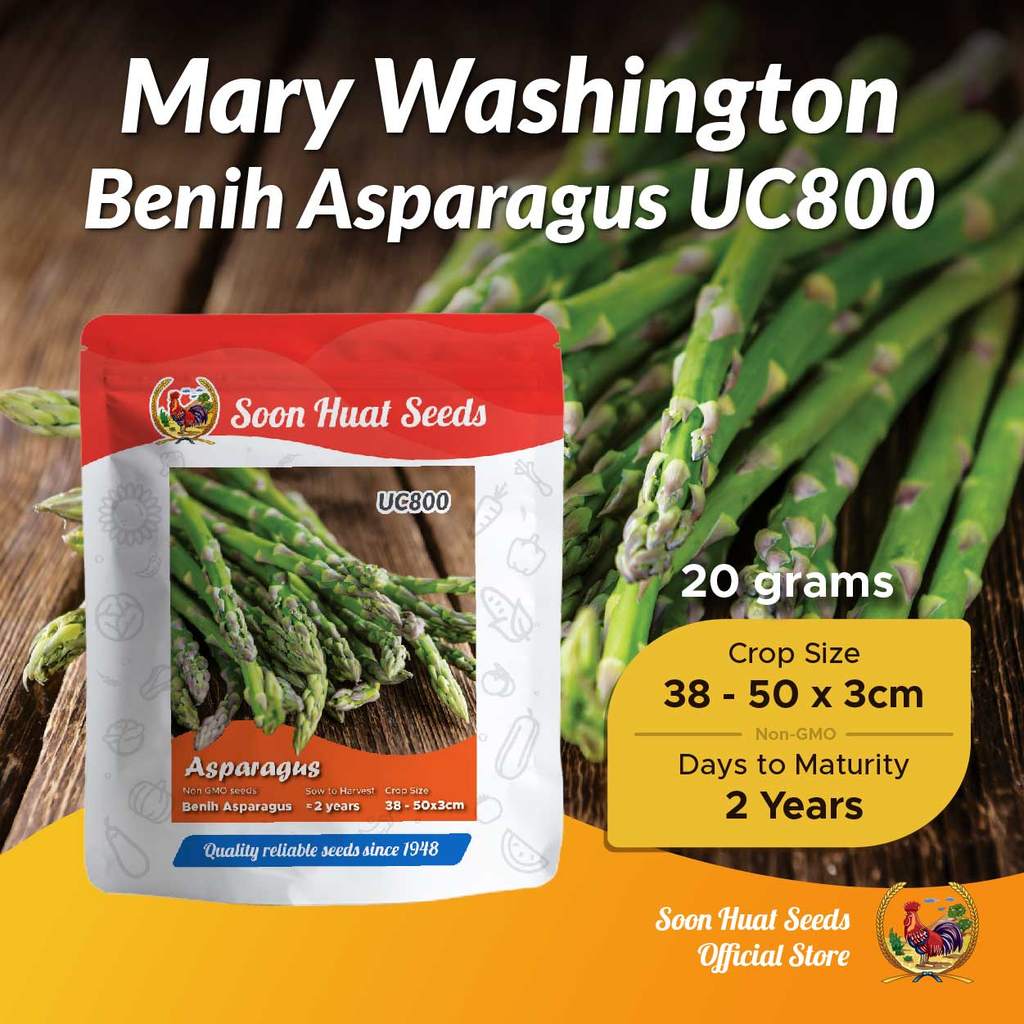 [20g] UC800 Benih Asparagus Soon Huat Seeds | Shopee Malaysia