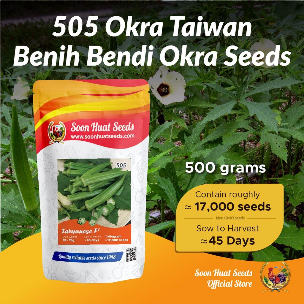 [500g] 505 Benih Bendi Taiwan Soon Huat Seeds | Shopee Malaysia