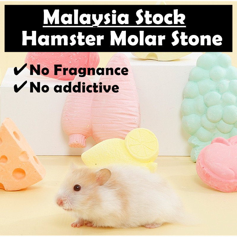 [MALAYSIA STOCK] Hamster Molar Stone Grind Teeth Natural Batu Gigit ...