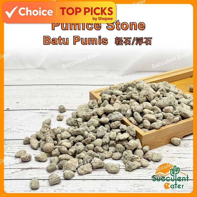 Pumice 1 Liter Stone Batu Pumis Cactus Succulent Soil Filter Media ...