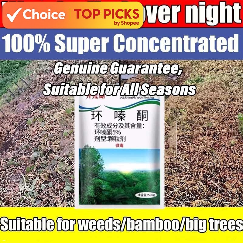 Powerful Tree Killer 5% Hexazinone (500g) – Big Trees Root Rot ...