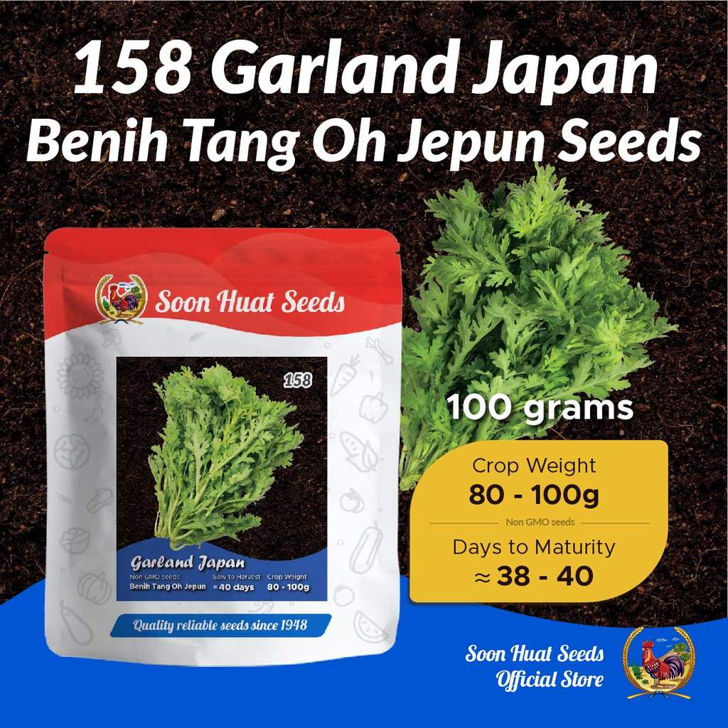 [100 Grams] 158 Benih Tang Oh Garland Chrysanthemum Japanese Daun Besar ...