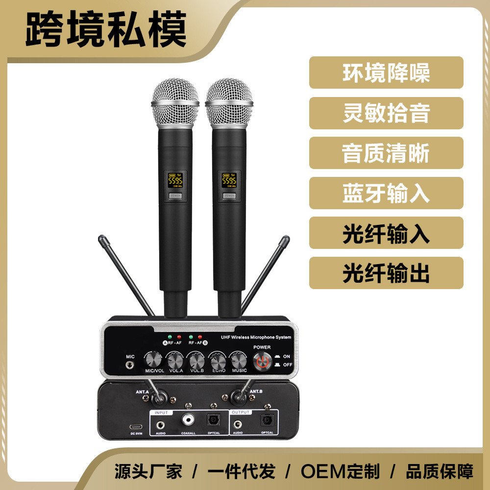 Private Model U-Segment Charging Wireless Microphone One for Two TV KTV ...