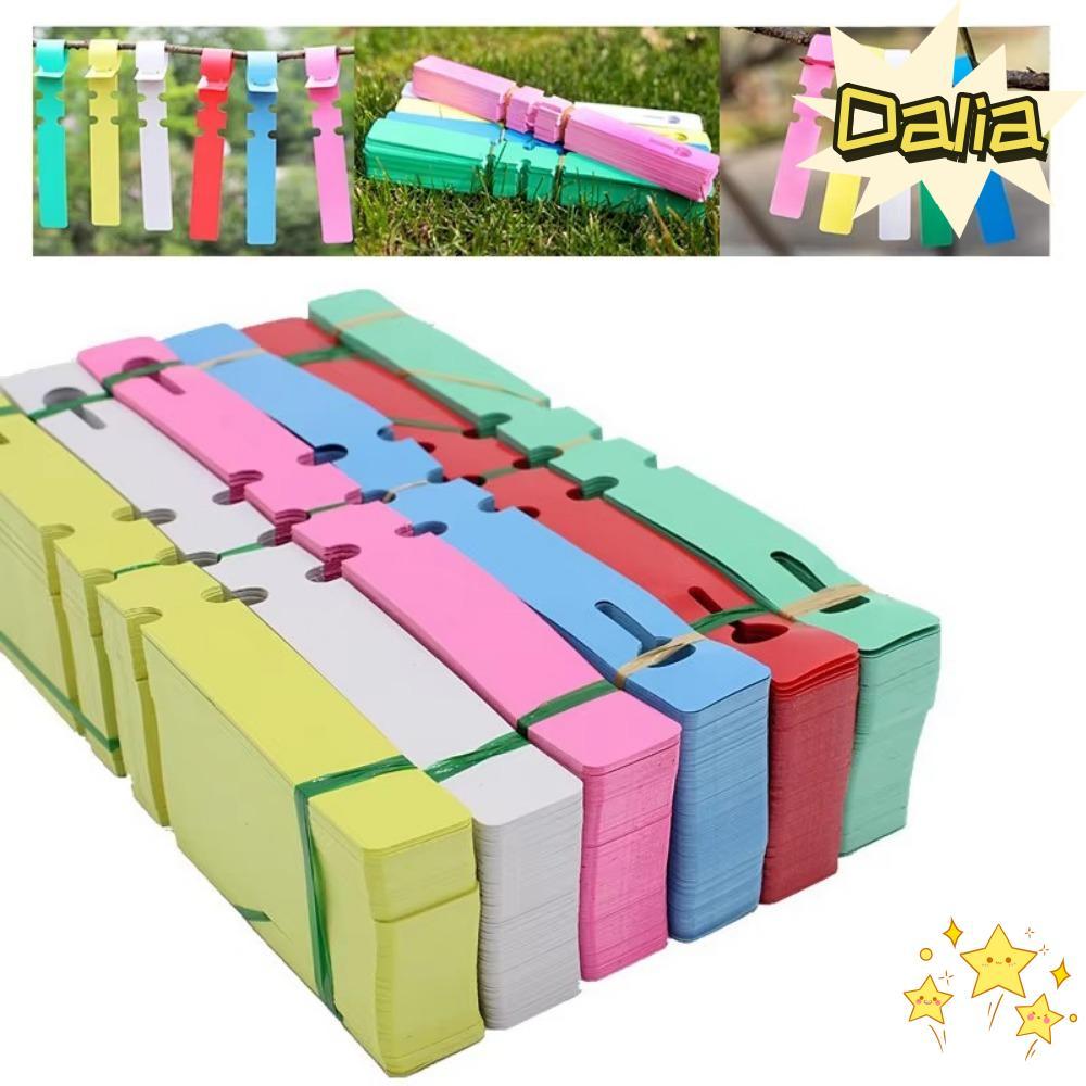 DALIA 100pcs Ring Buckle Sign, Plastic Identification Card Garden Plant ...