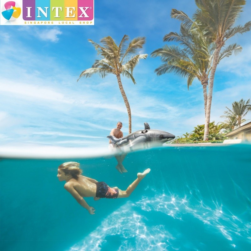 Intex Inflatable Shark Ride Float for Pool Kids Mainan Kembung Terapung ...