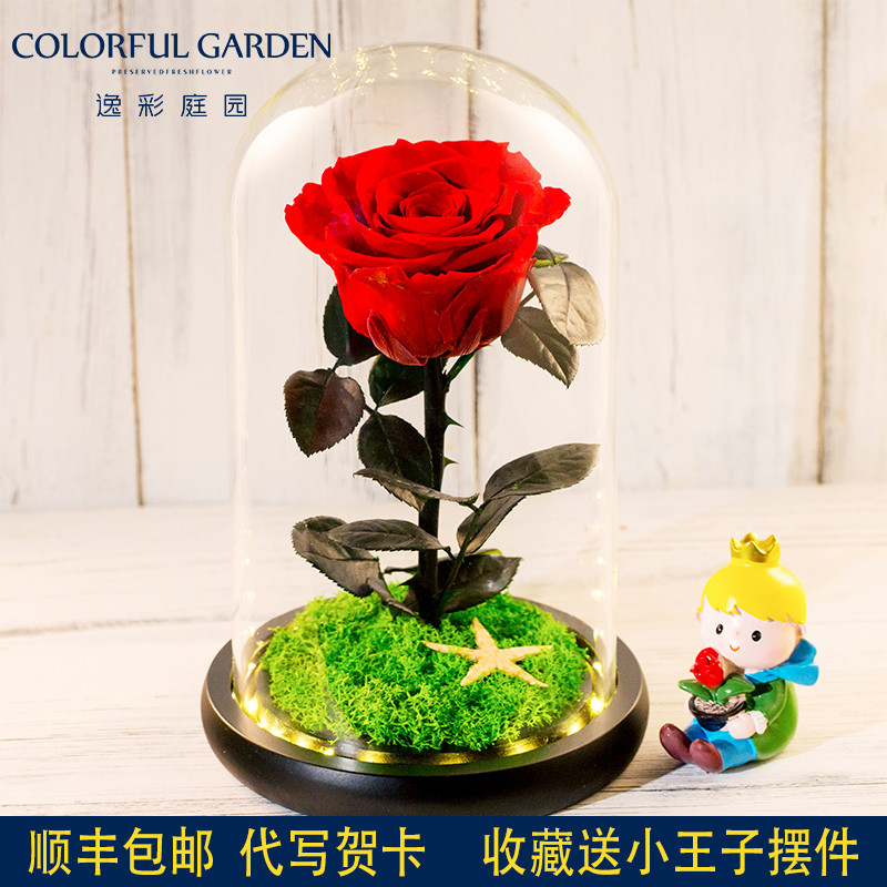 Preserved Flower Gift Box The Little Prince Rose Glass Cover for ...