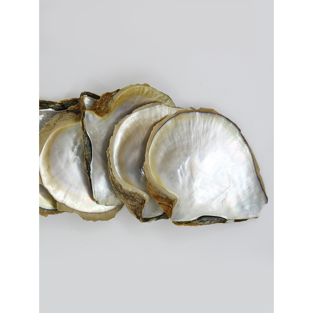 Natural Pearl Shell White Shell Piece Colorful Materials Watch Jewelry ...