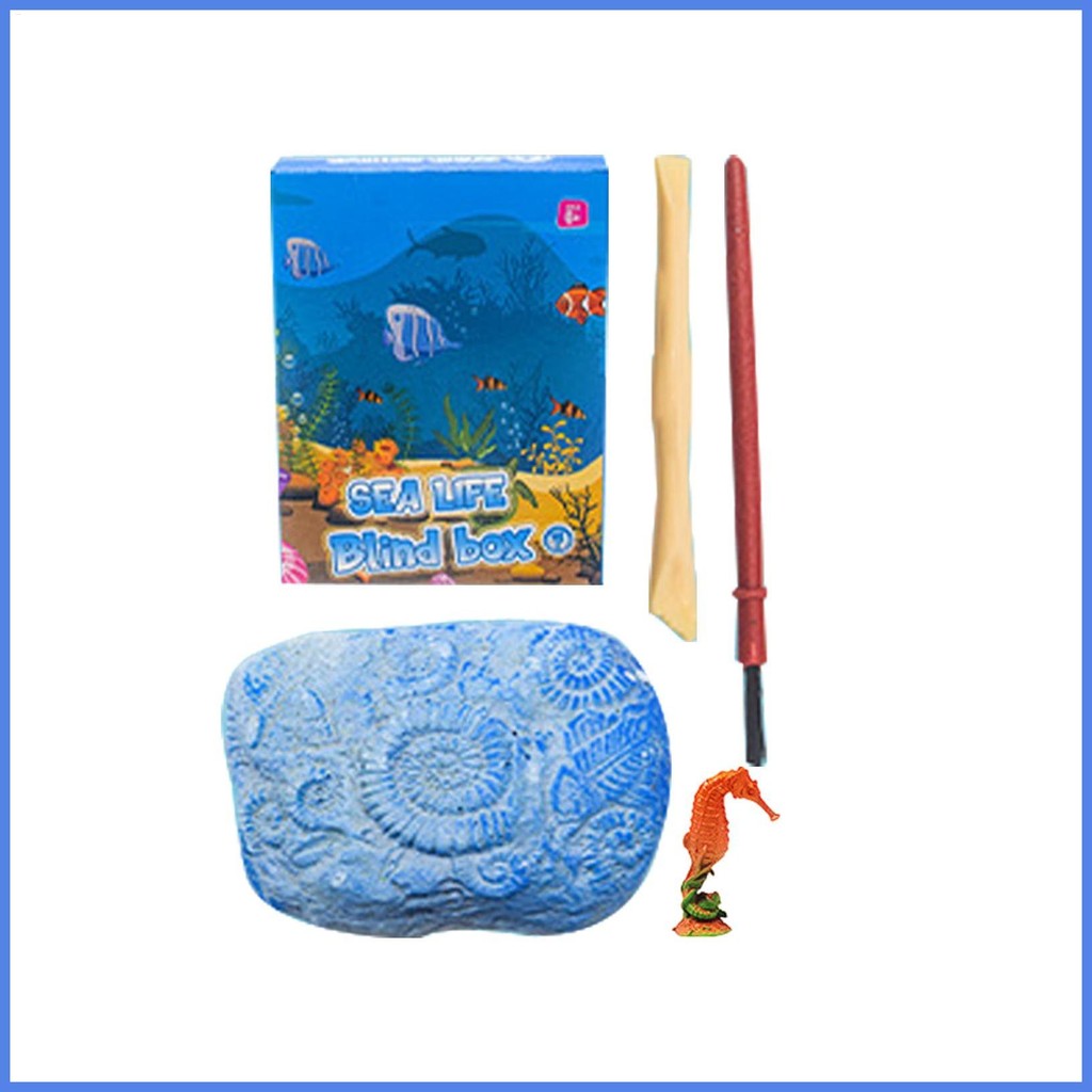 Ocean Animal Dig Kit Kids STEM Educational Activity Set Fossil Sea ...