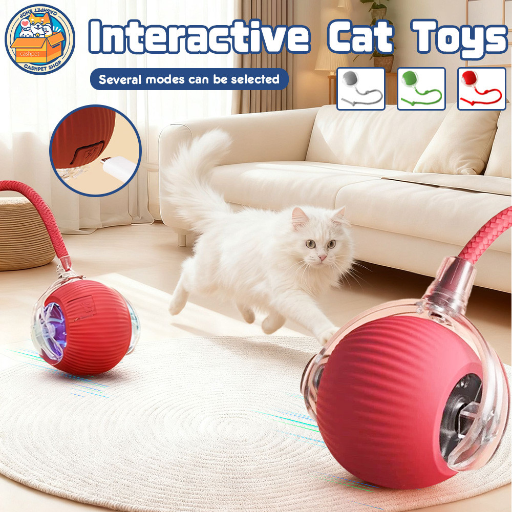 Automatic Cat Ball Toy Interactive Rolling Ball with Tail Rechargeable ...
