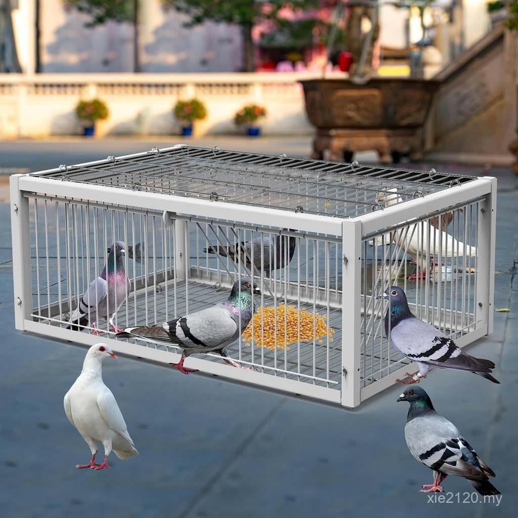 Heavy-duty anti-escape bird catching cage, all-weather outdoor animal ...
