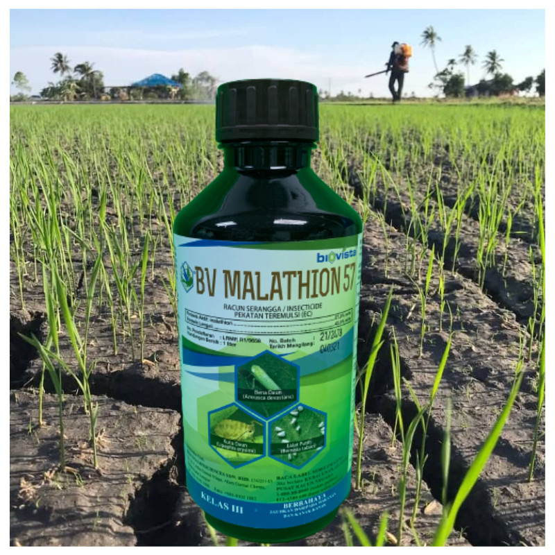 [ORIGINAL] 1L BV MALATHION 57 BIOVISTA /Racun Ulat/Insecticide/KutuTrip ...