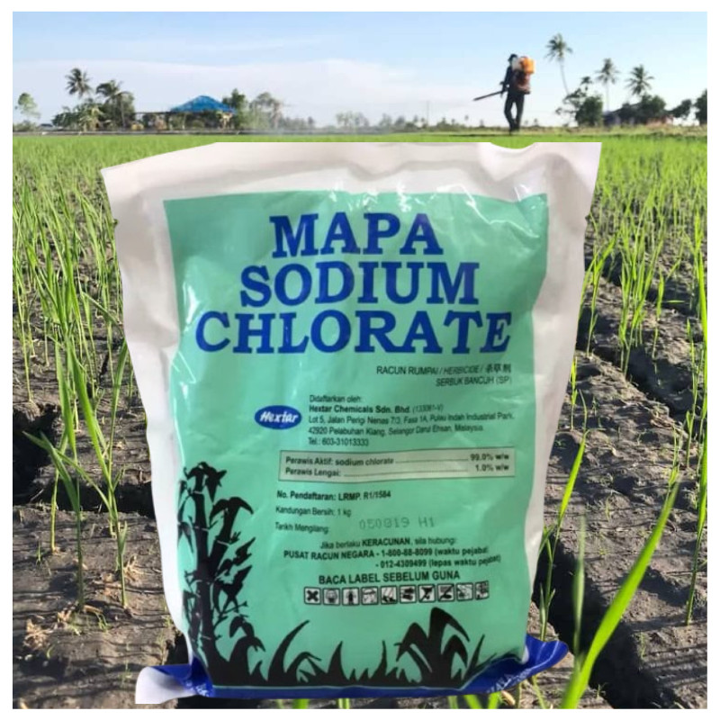 [ORIGINAL] 1KG MAPA SODIUM CHLORATE Racun Buluh Sodium Chlorate 99% ...