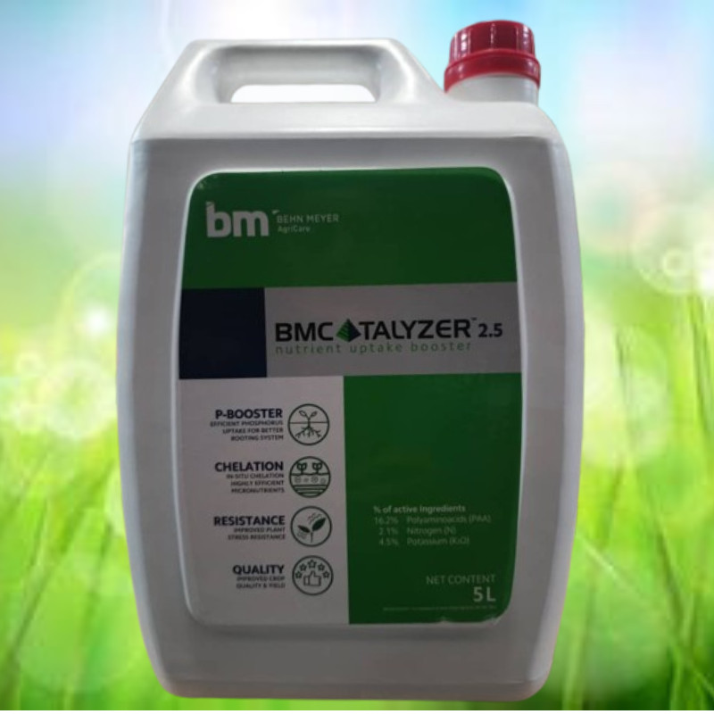5L BM CATALYZER 2.5 BEHN MEYER root booster fertilizers sama dgn axtra ...