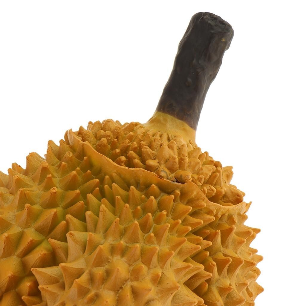 [svzfjuv] Artificial Durian Fruits Display Restaurant Hotel Kitchen ...