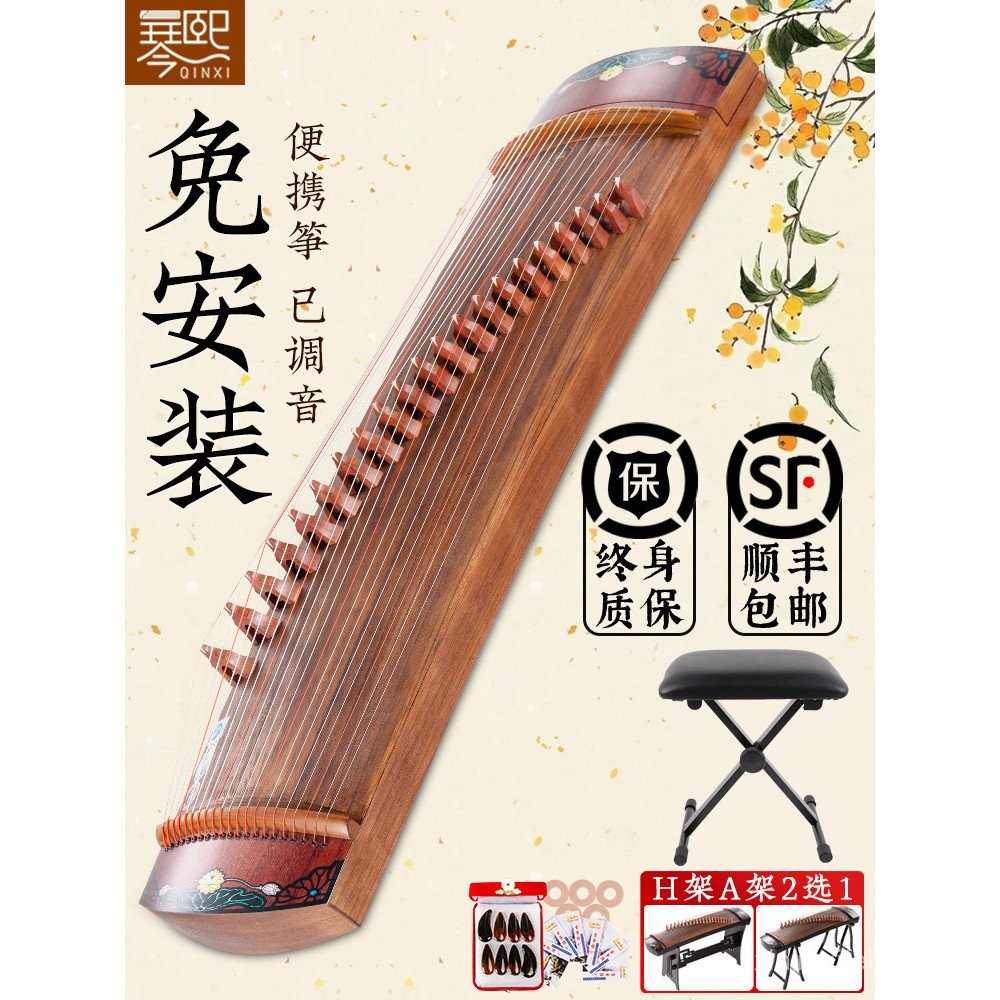 Qinxi Guzheng Portable Small Guzheng Exam Grade Beginners Introductory ...