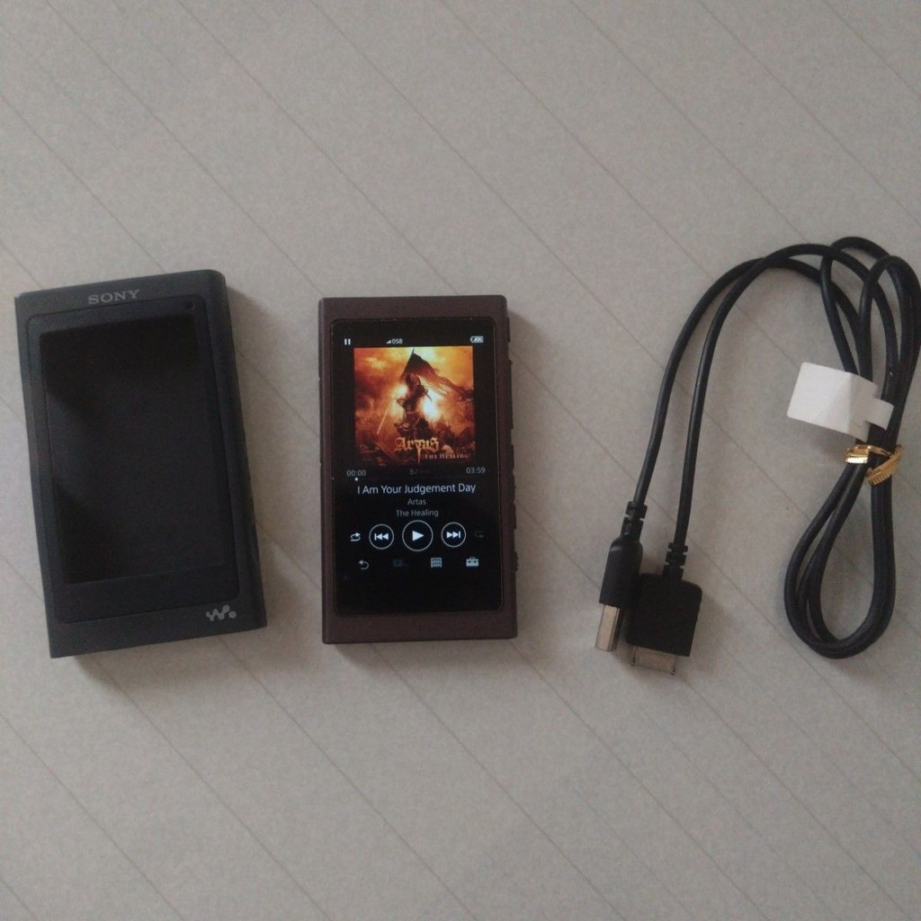 Used Sony NW-A45 Walkman "Recorded for Security" | Shopee Malaysia