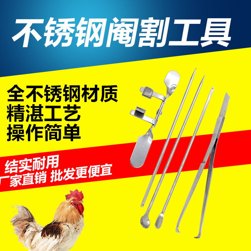Casting Tools Full Set Stainless Steel Breeding Equipment Big Chicken ...