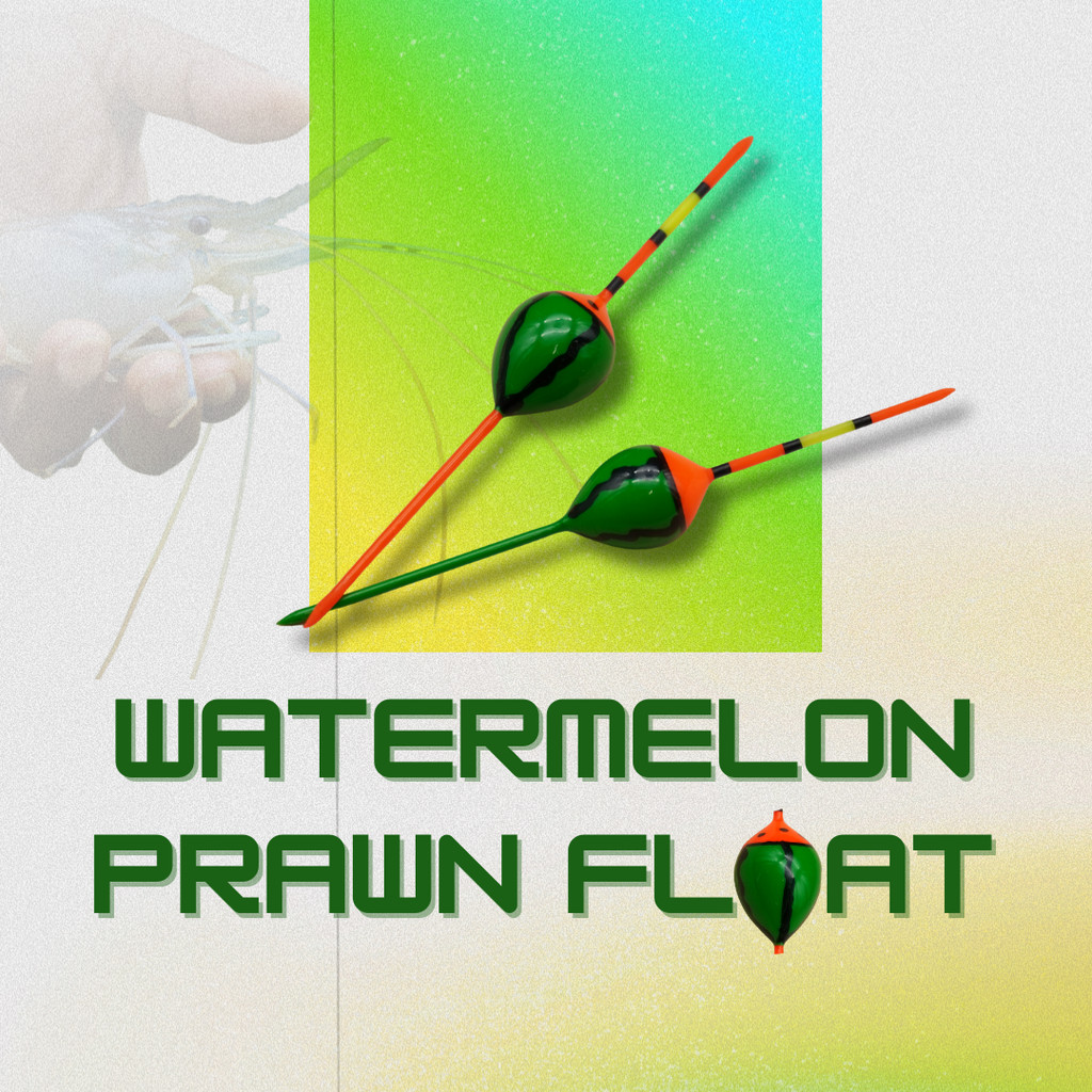 ZENITH WATERMELON PRAWN FISHING FLOAT Mancing Udang Kolam Pelampung ...