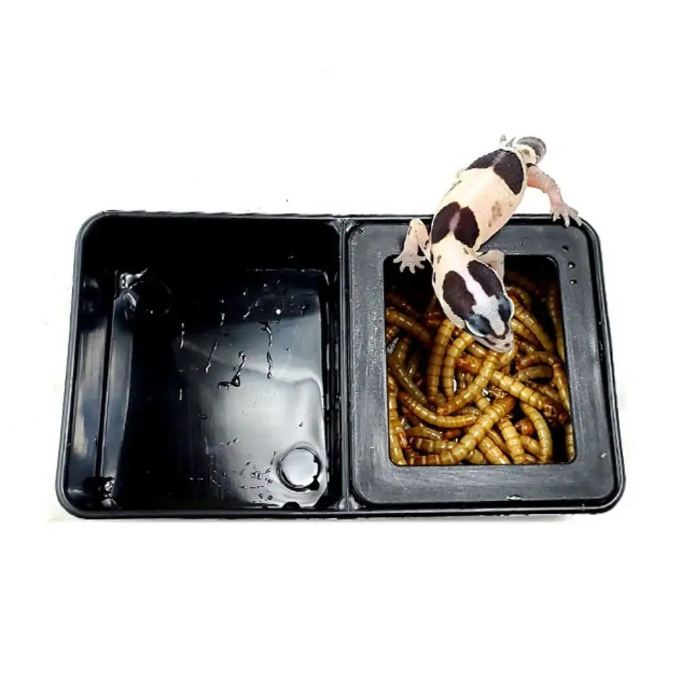 1pc Tangki Reptilia Serangga Labah-labah Sarang Semut Makanan Mangkuk ...