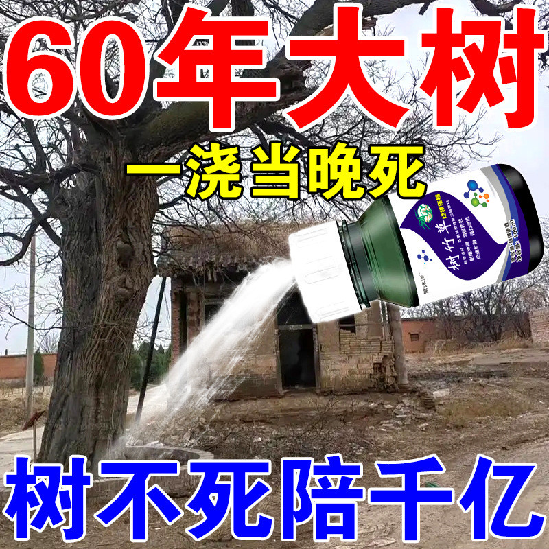 @ Rotten Big Tree Medicine Remove Tree One Drop Deadystock Tree Bamboo ...