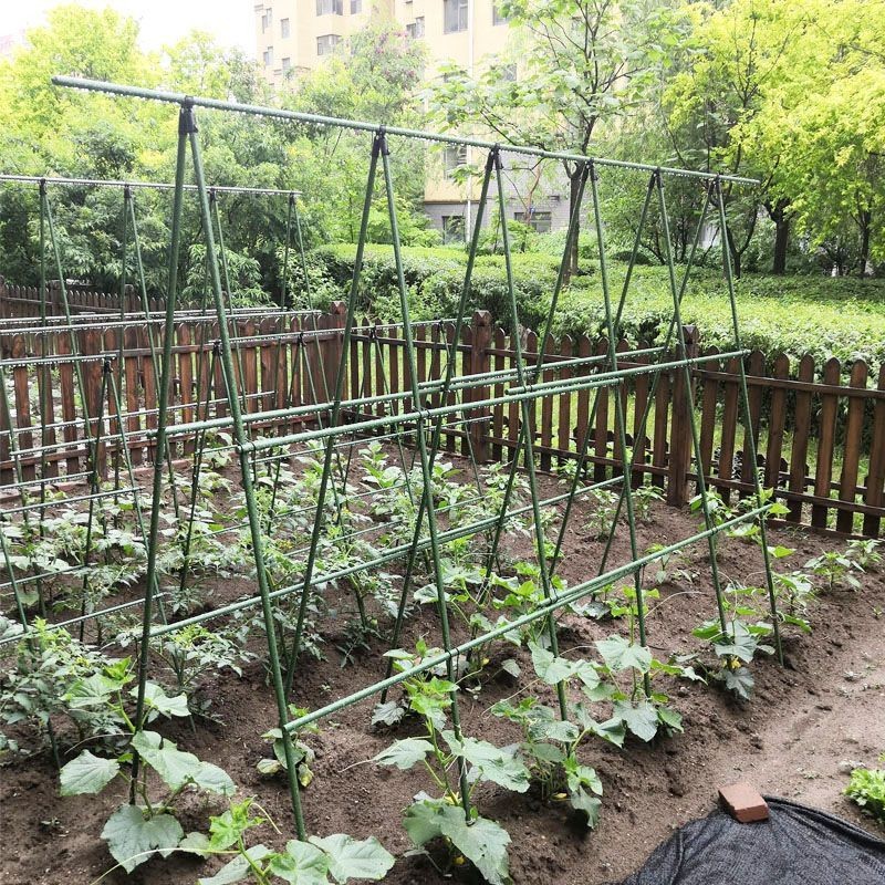 Cucumber Climbing Rack Bean Corner Rack Rod Tomato Rack Vegetable ...